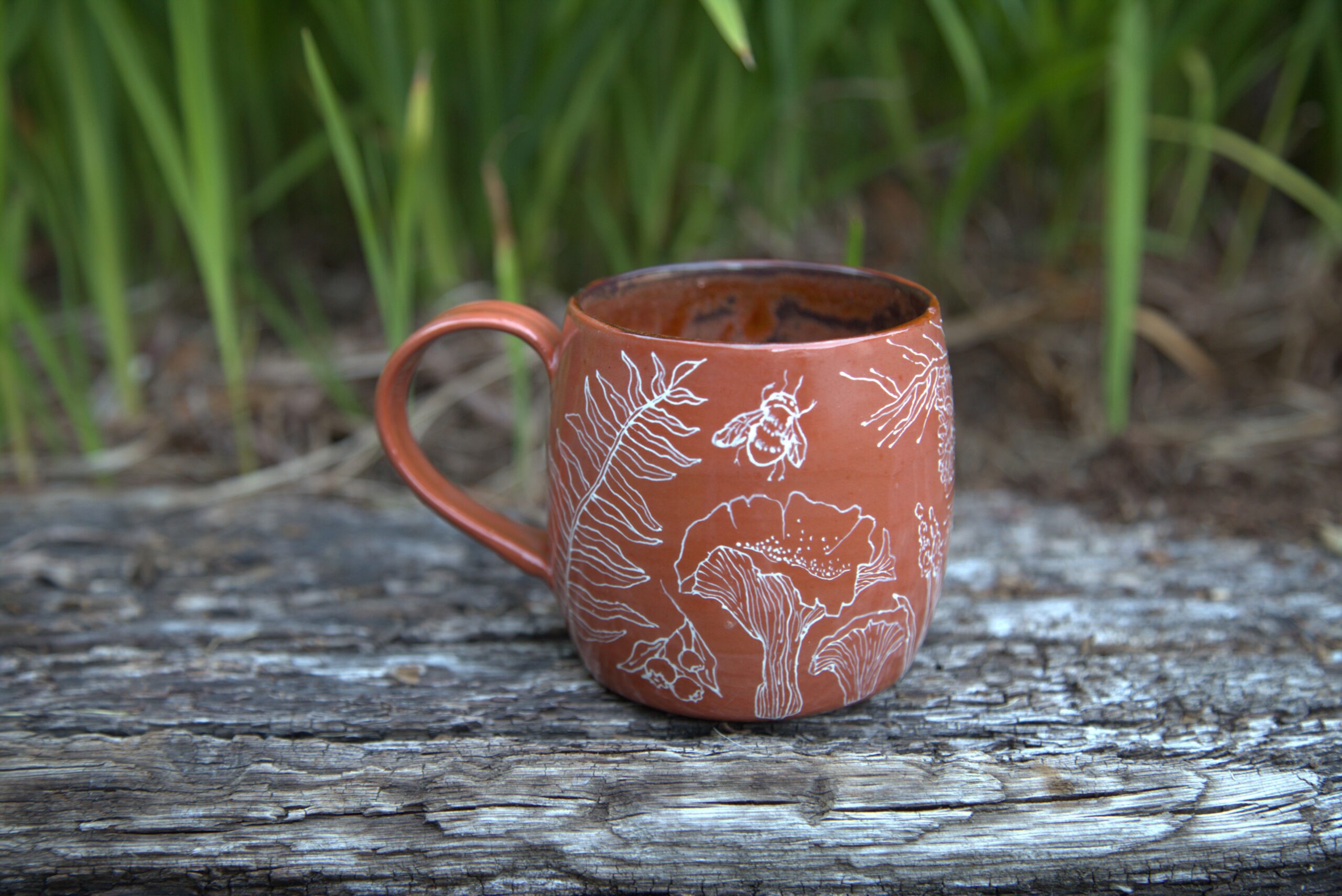 Gallery – The Natural Illustrator